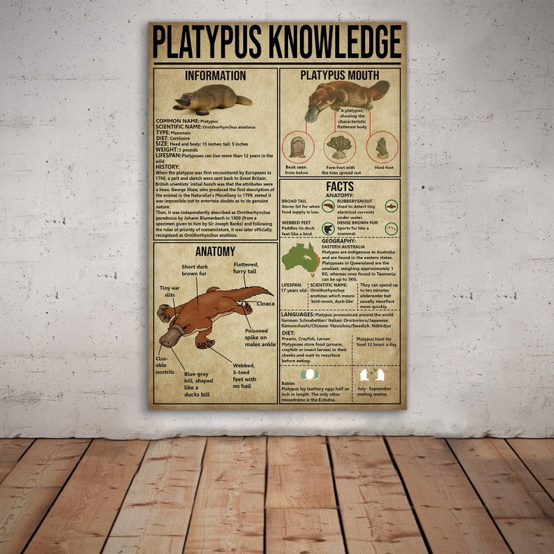 Platypus Knowledge Poster, Vintage Poster, Decor Wall, Knowledge Lovers ...