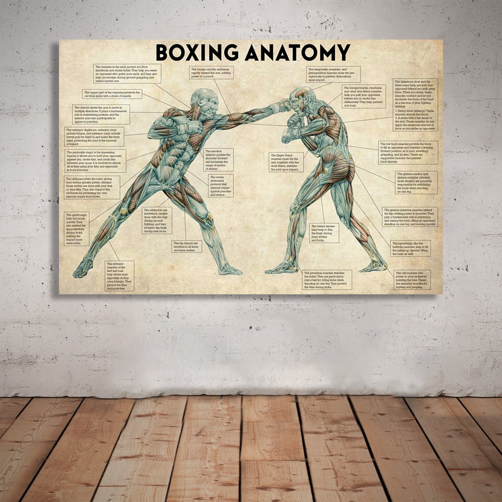 Boxing Anatomy Knowledge Poster, Wall Art Home, Knowledge Poster Home ...