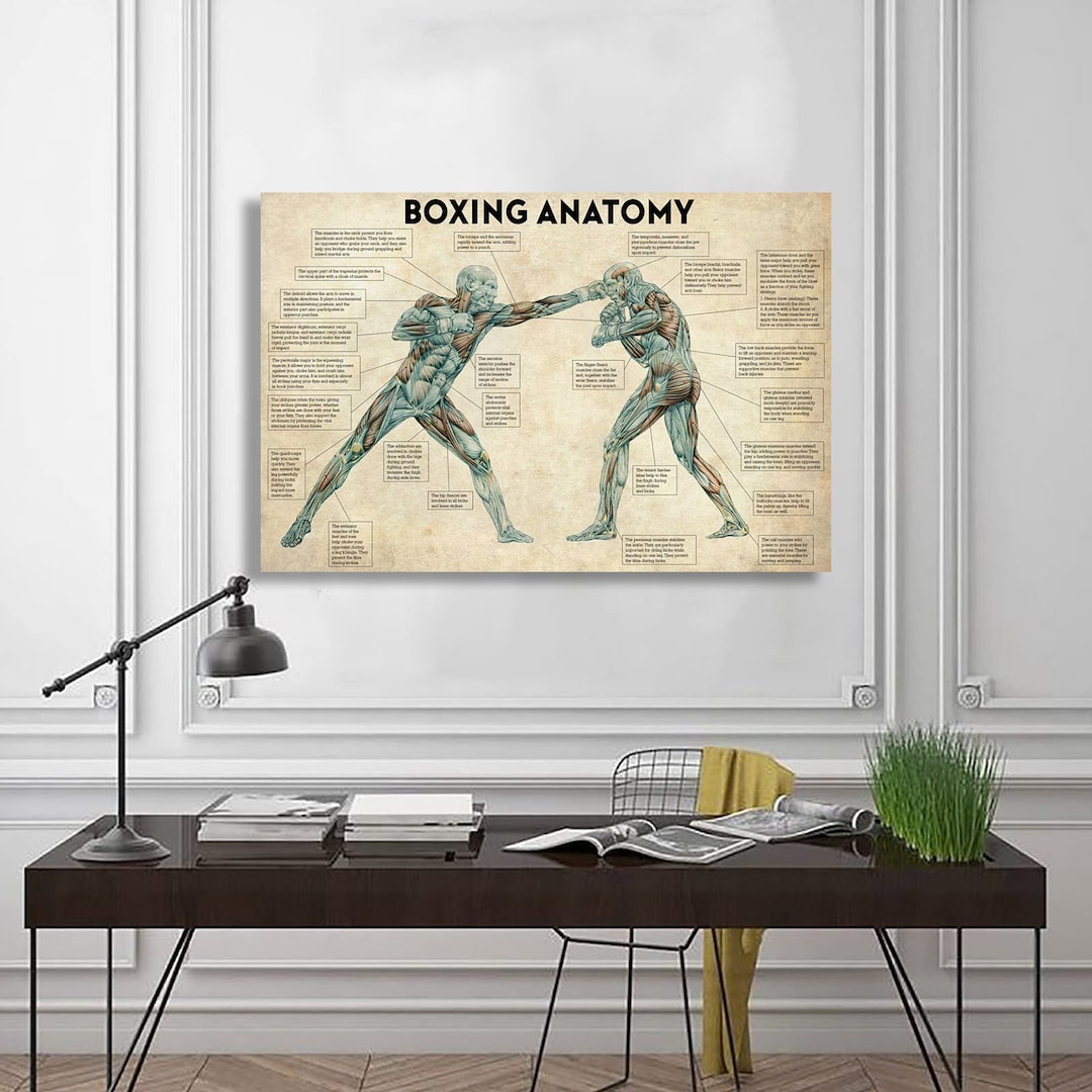 Boxing Anatomy Knowledge Poster, Wall Art Home, Knowledge Poster Home ...