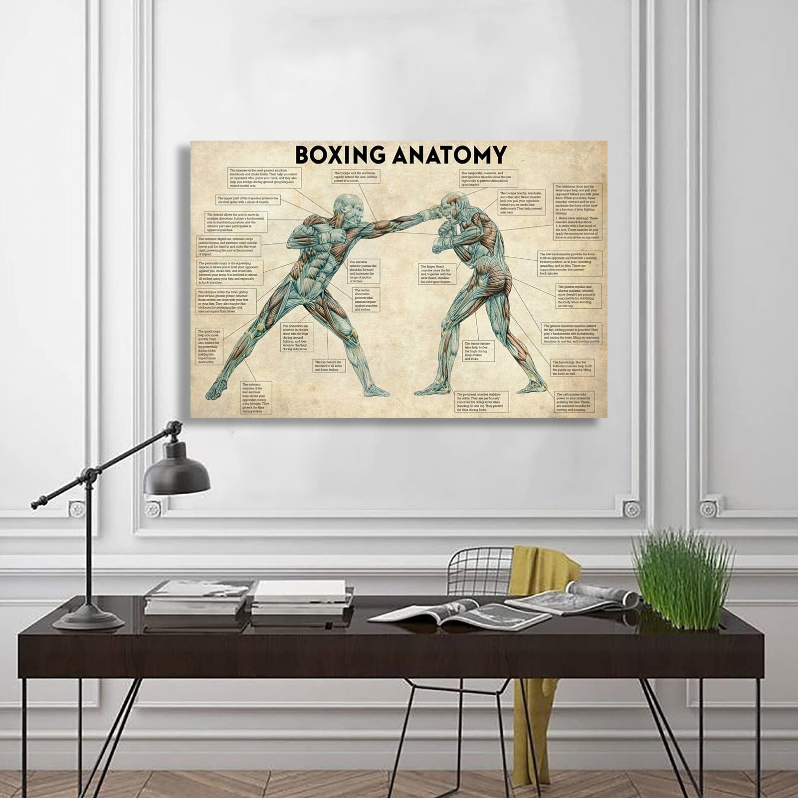 Boxing Anatomy Knowledge Poster, Wall Art Home, Knowledge Poster Home ...