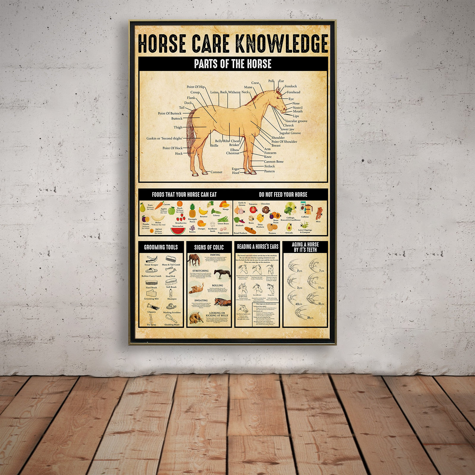 Horse Care Knowledge Poster, Horse Poster, Wall Art Home, Farm ...