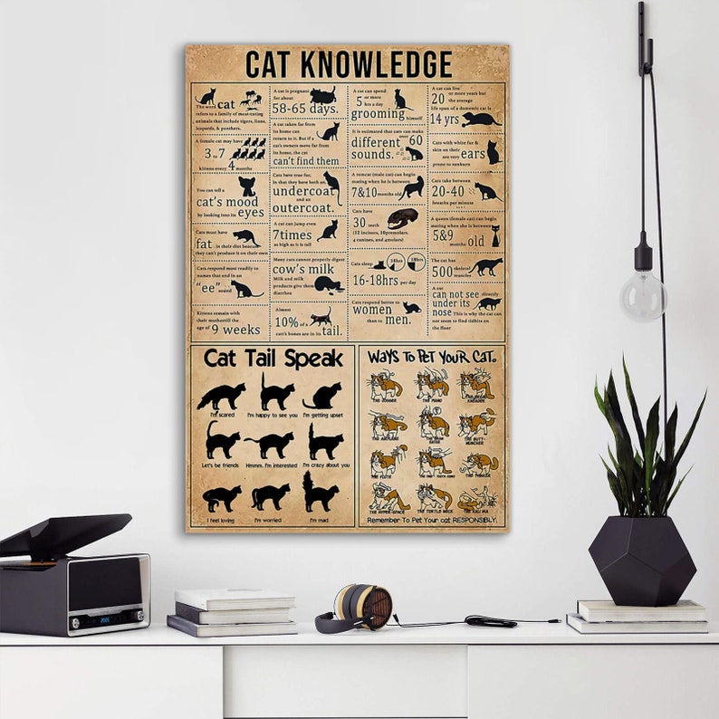 Cat Knowledge Vertical Poster, Cat Poster, Wall Art Home, Knowledge ...