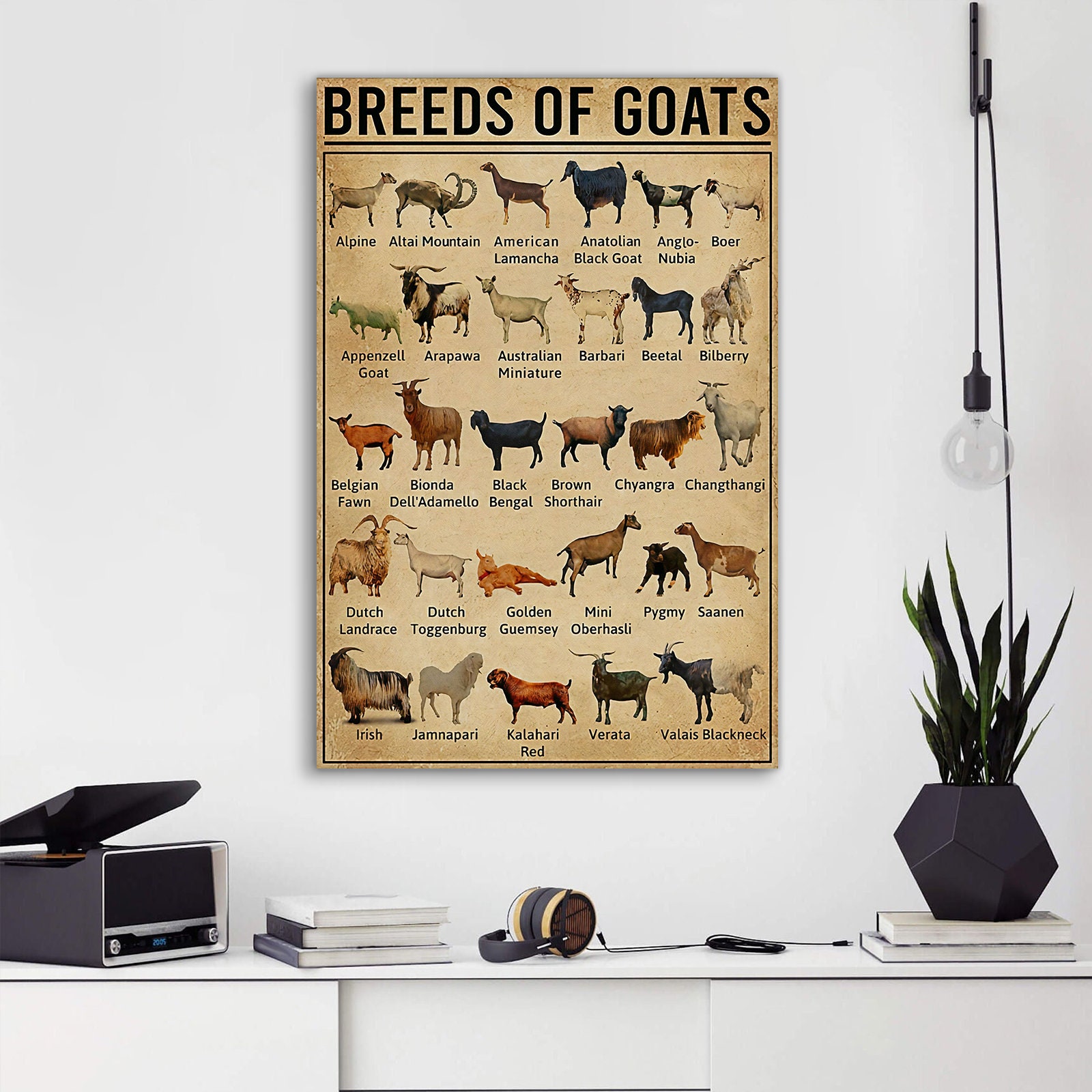 Breeds of Goats Poster, Knowledge Poster, Vintage Poster Wall Art, Home ...
