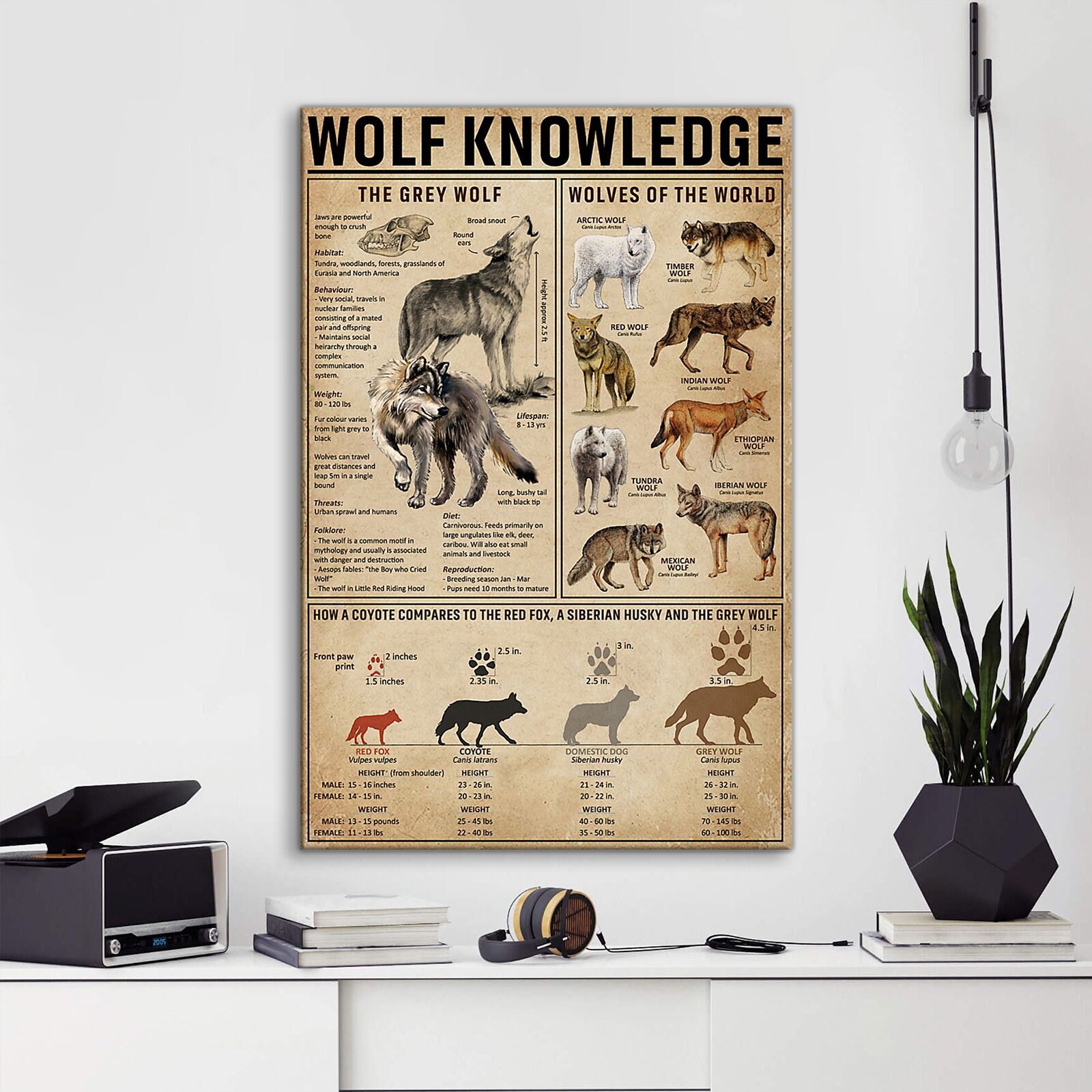 Wolf Knowledge Vertical Poster Wall Decoration, Wolf Poster, Type of Wolves Poster, Wolf Lover ...