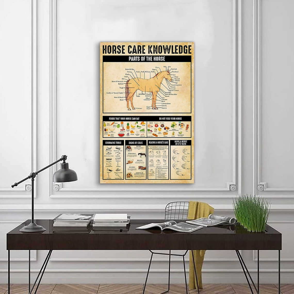 Horse Care Knowledge Parts of the Horse Poster, Farm Knowledge Poster ...