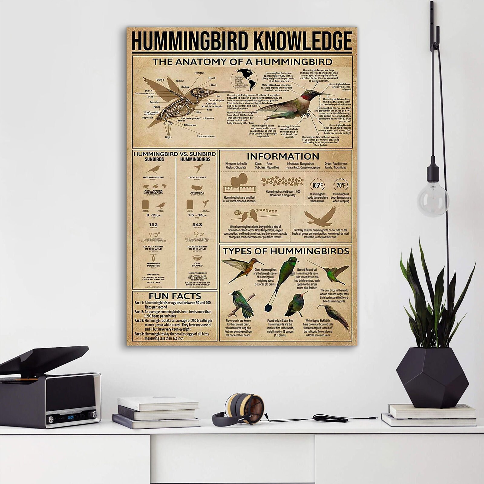 Hummingbird Knowledge, Hummingbird Poster, Hummingbird Lover Gift ...