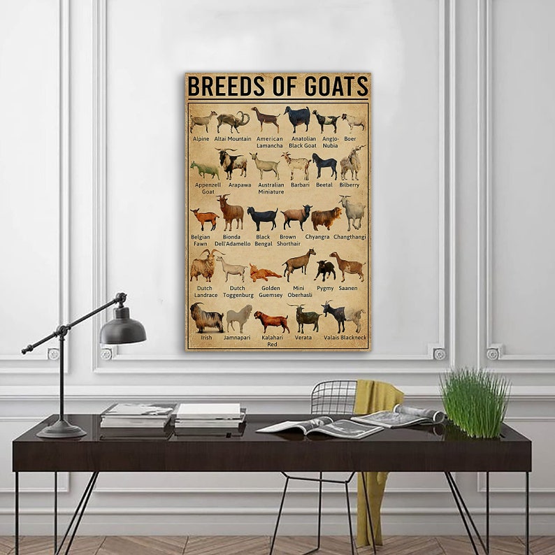 Breeds of Goats Poster, Knowledge Poster, Vintage Poster Wall Art, Home ...