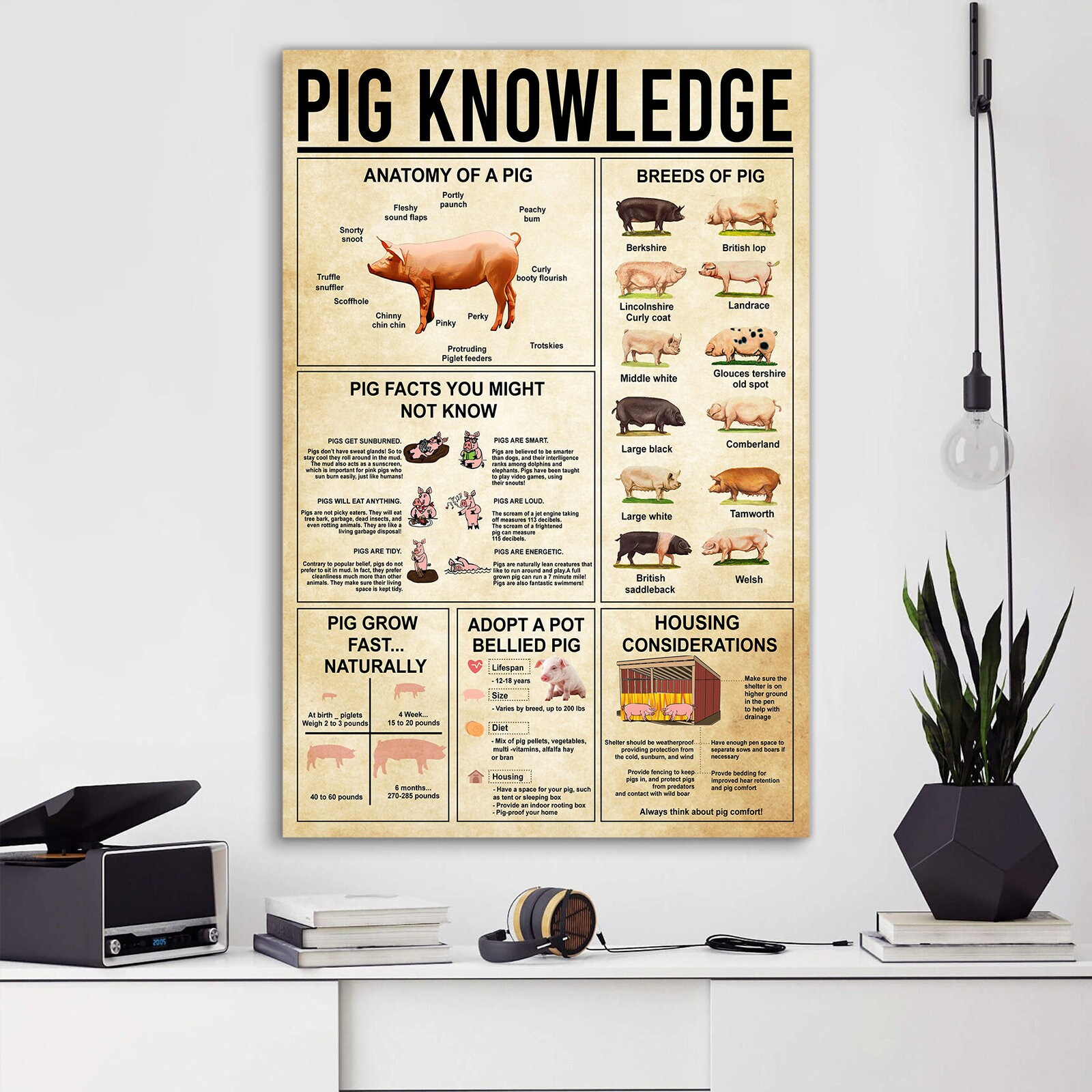 Pig Knowledge Farm Vertical Poster, Knowledge Poster, Vintage Poster ...