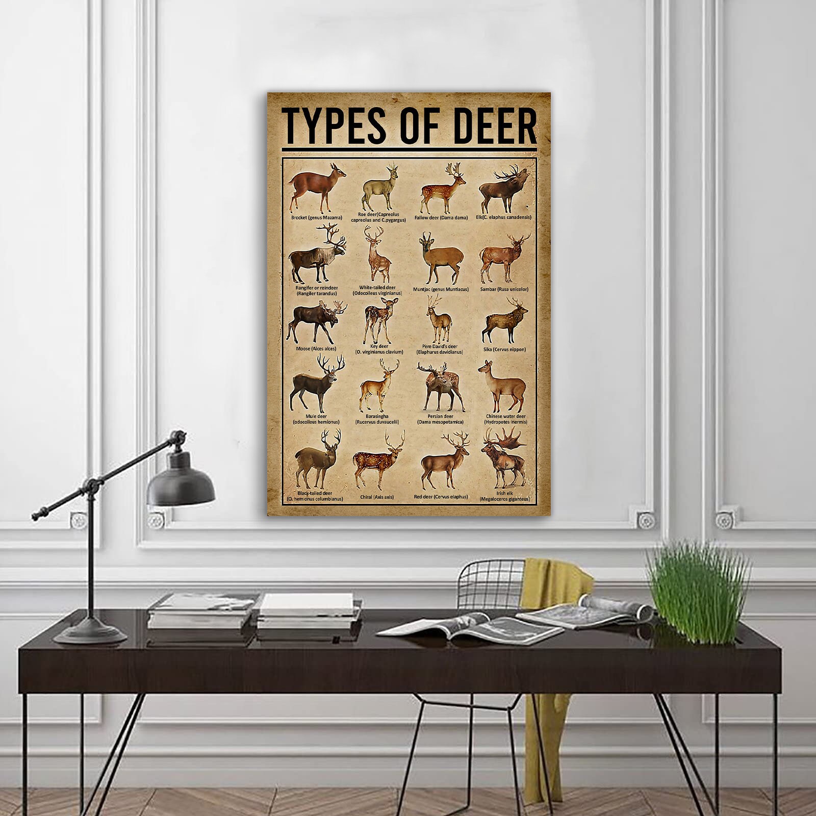 Type of Deer Poster, Knowledge Poster, Vintage Poster Wall Art, Home ...