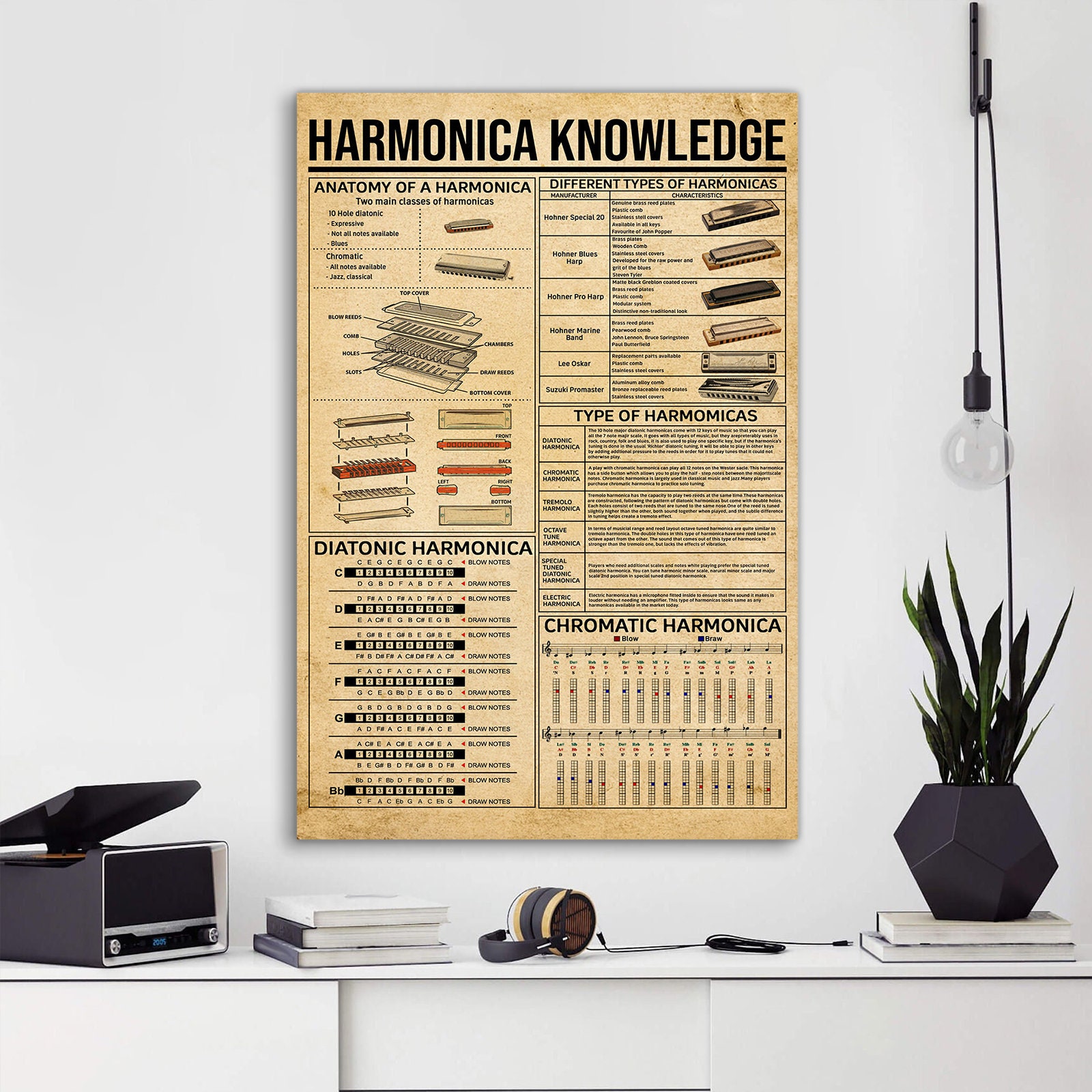 Harmonica Knowledge Poster, Knowledge Poster, Vintage Poster Wall Art, Home Decor, Harmonica ...
