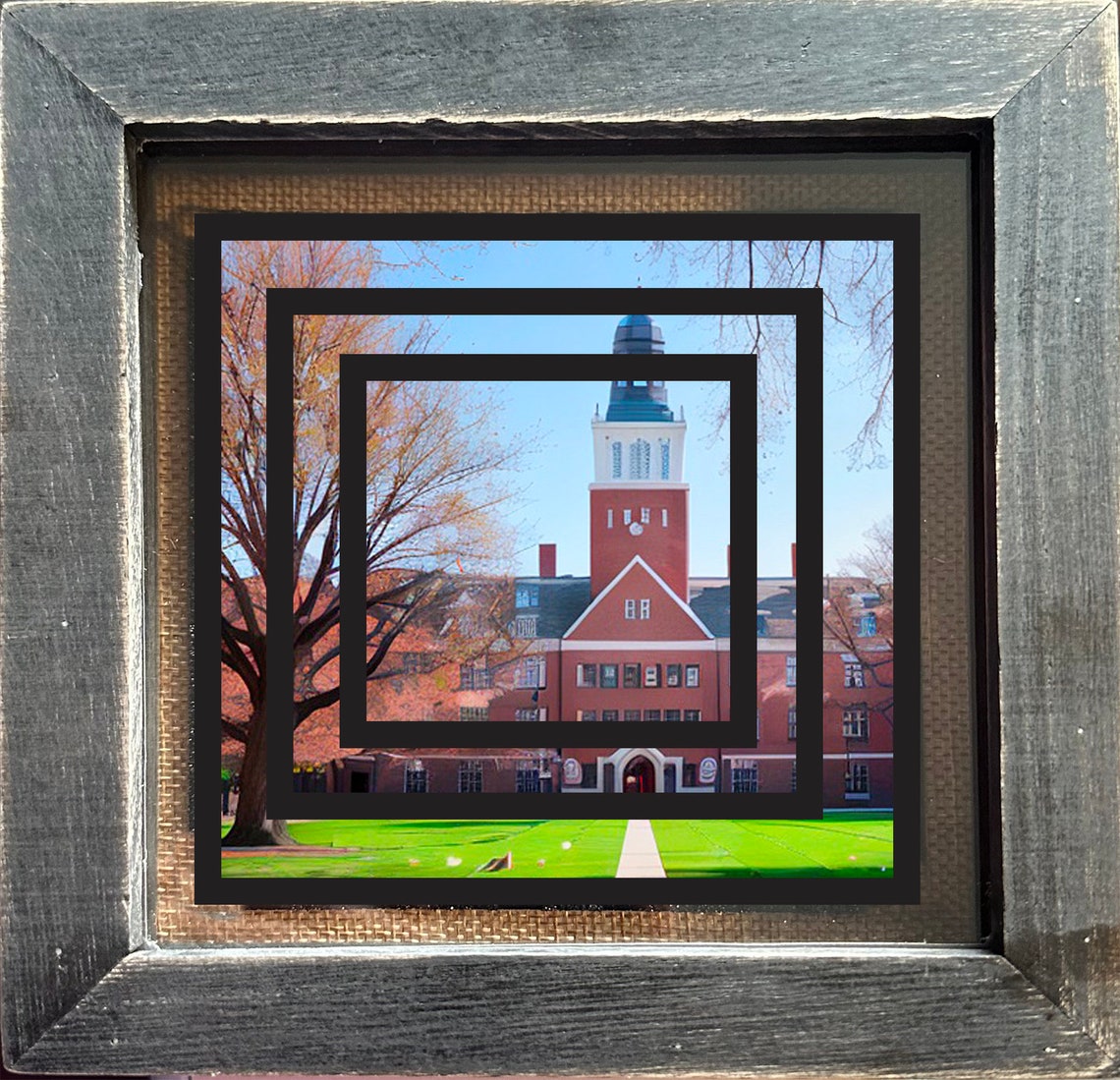 Shadow Box of Harvard University - Etsy