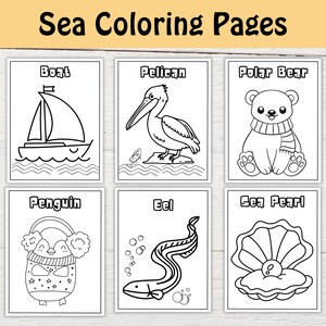 30 Sea Coloring Pages | Preschool Pre-k + Kindergarten | Printable ...