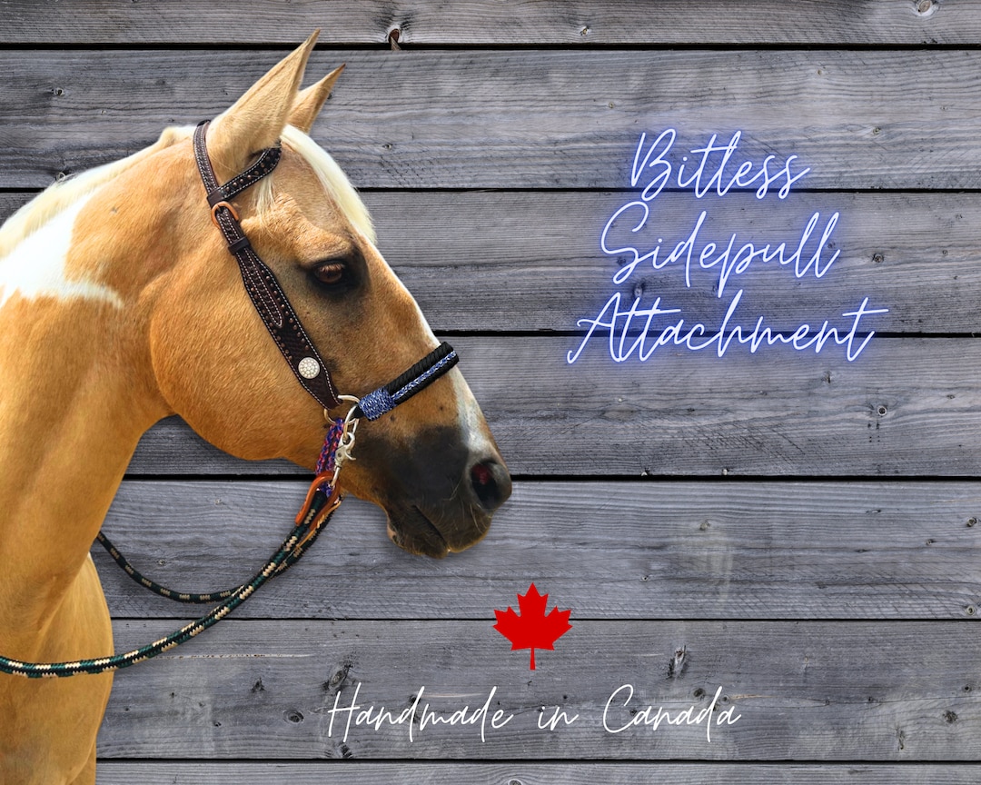 Side Pull Bitless Bridle Hackamore Attachment, Fancy Blue - Etsy