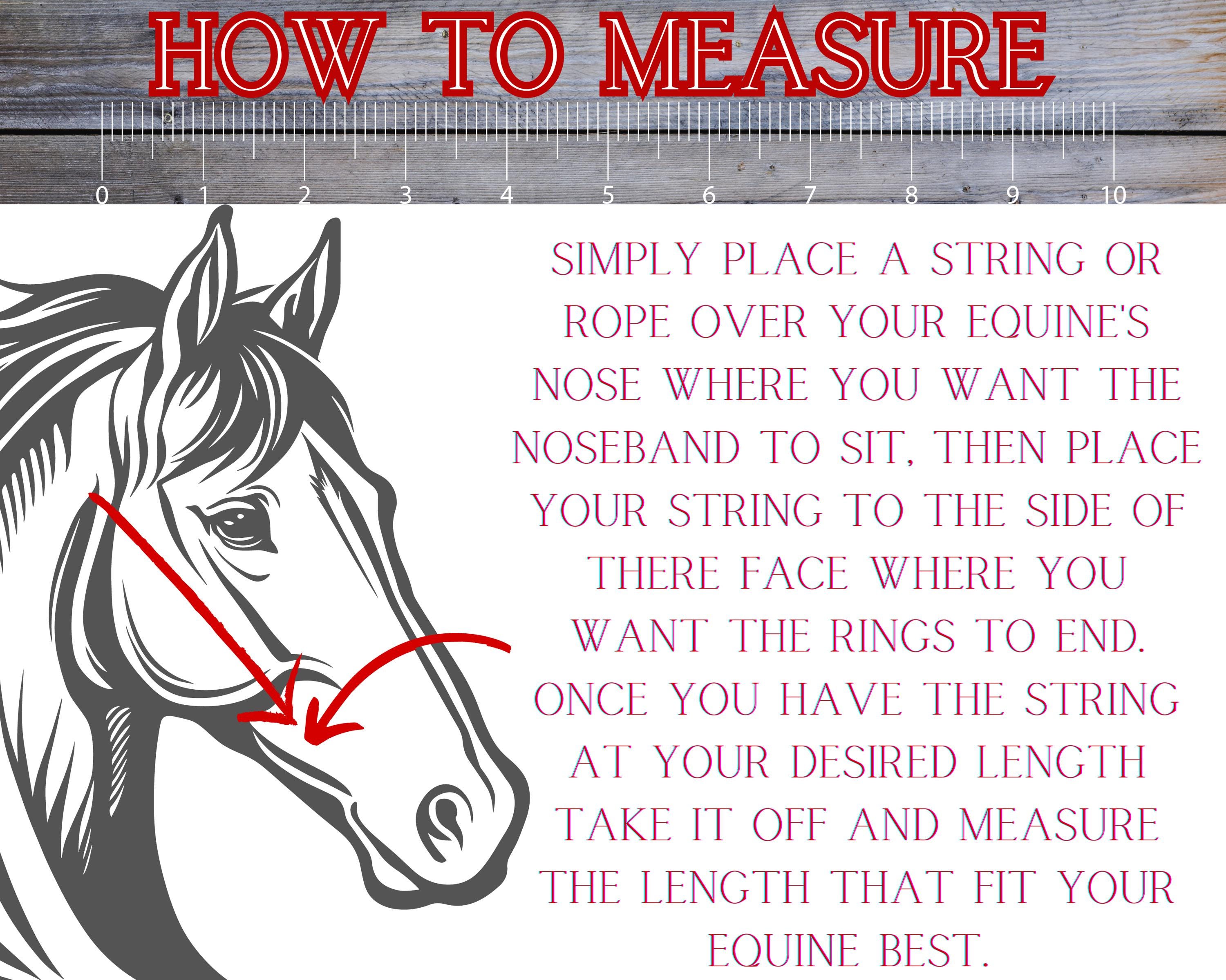 Side Pull Bitless Bridle Hackamore Attachment, Fancy Blue - Etsy