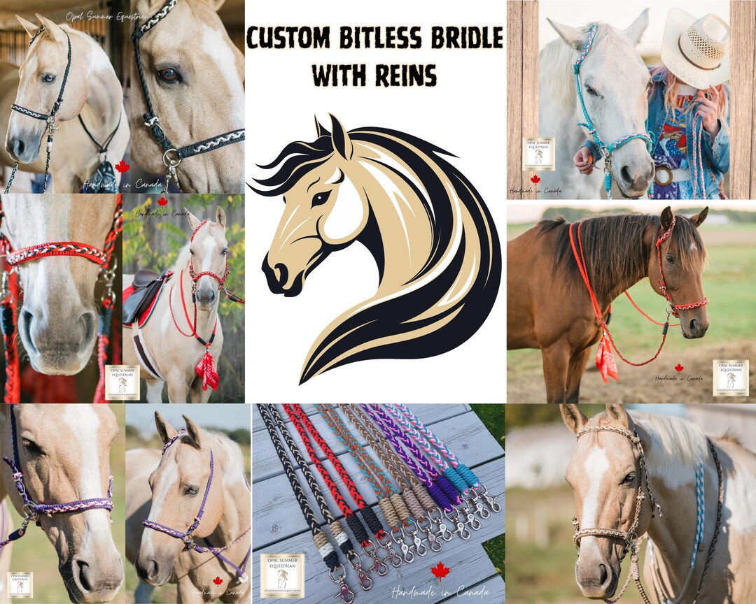 Custom English Style Bitless Bridle With Matching 9 Foot Reins - Etsy