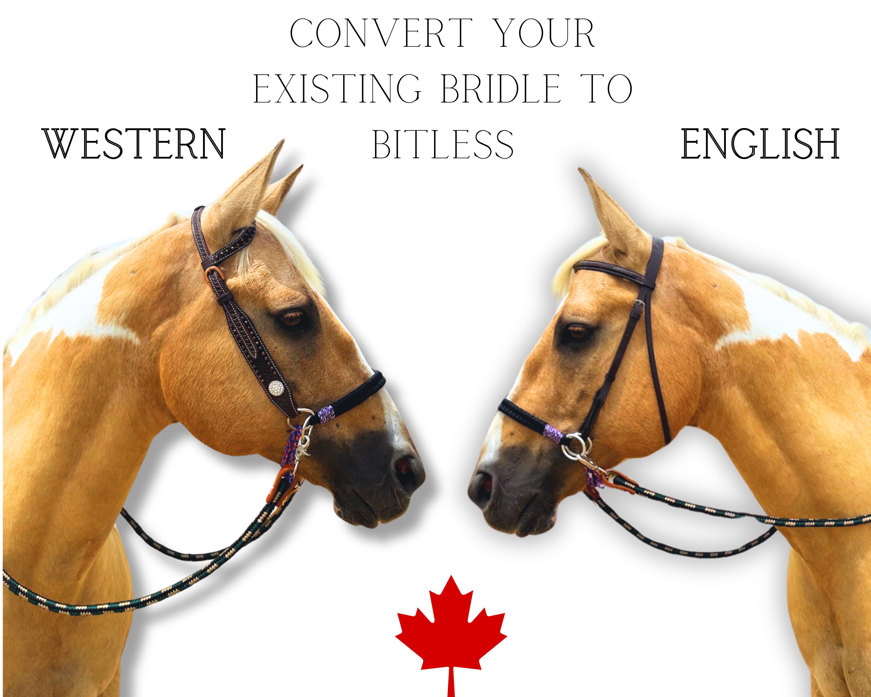 Side Pull Bitless Bridle Hackamore Attachment, Fancy Blue - Etsy