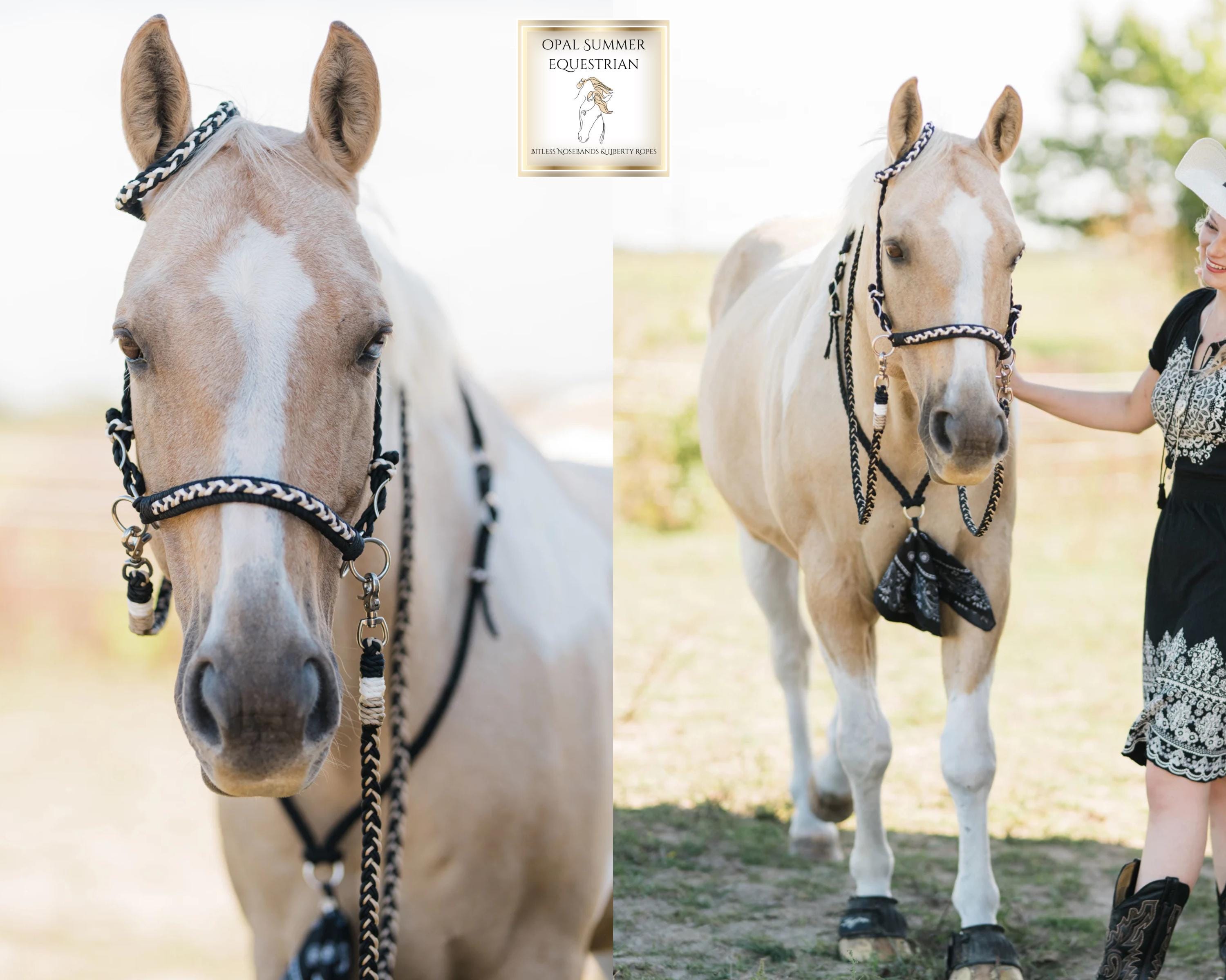 Bitless Bridle, Side Pull Hackamore With Reins, Bitless Headstall ...
