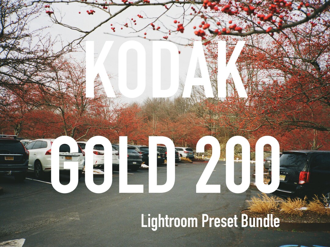 11 Kodak Gold 200 Film Lightroom Presets Aesthetic Pack for Desktop ...