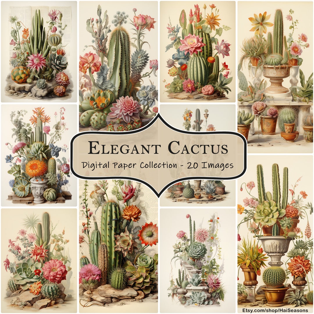 Elegant Cactus Digital Paper Pack 20 JPG Images Instant - Etsy
