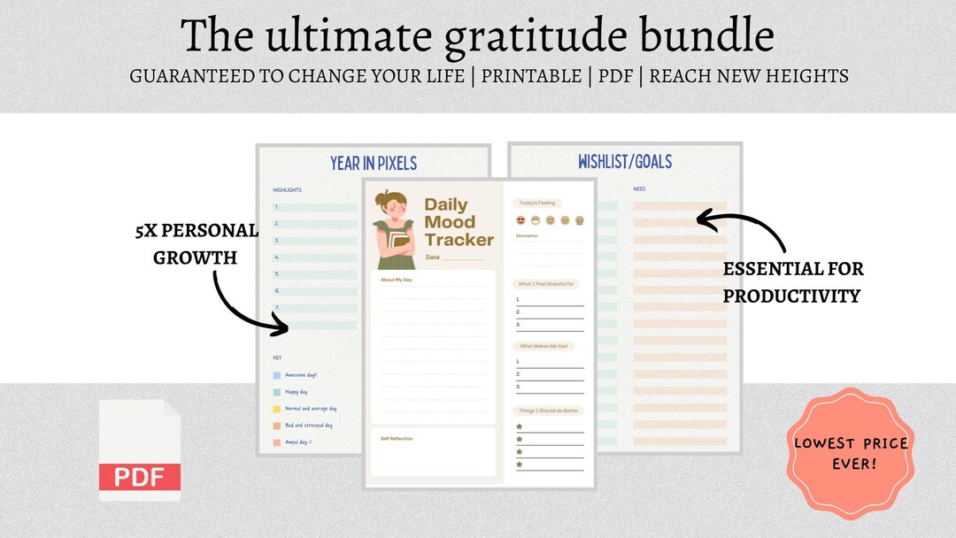 Daily Gratitude Journal Printable Daily Gratitude Self Reflection ...