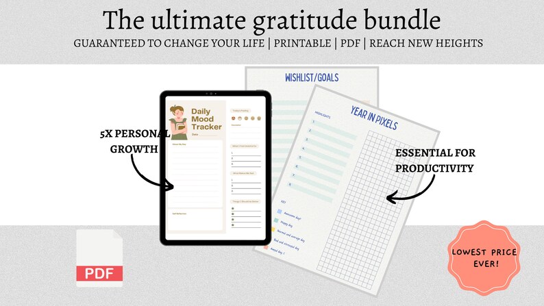 Daily Gratitude Journal Printable Daily Gratitude Self Reflection ...