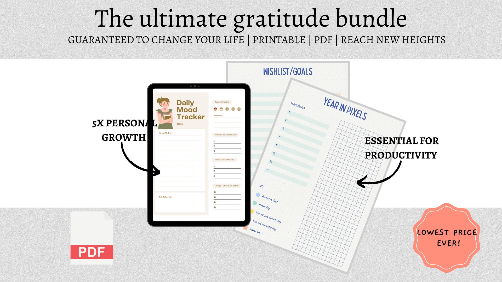 Daily Gratitude Journal Printable Daily Gratitude Self Reflection ...