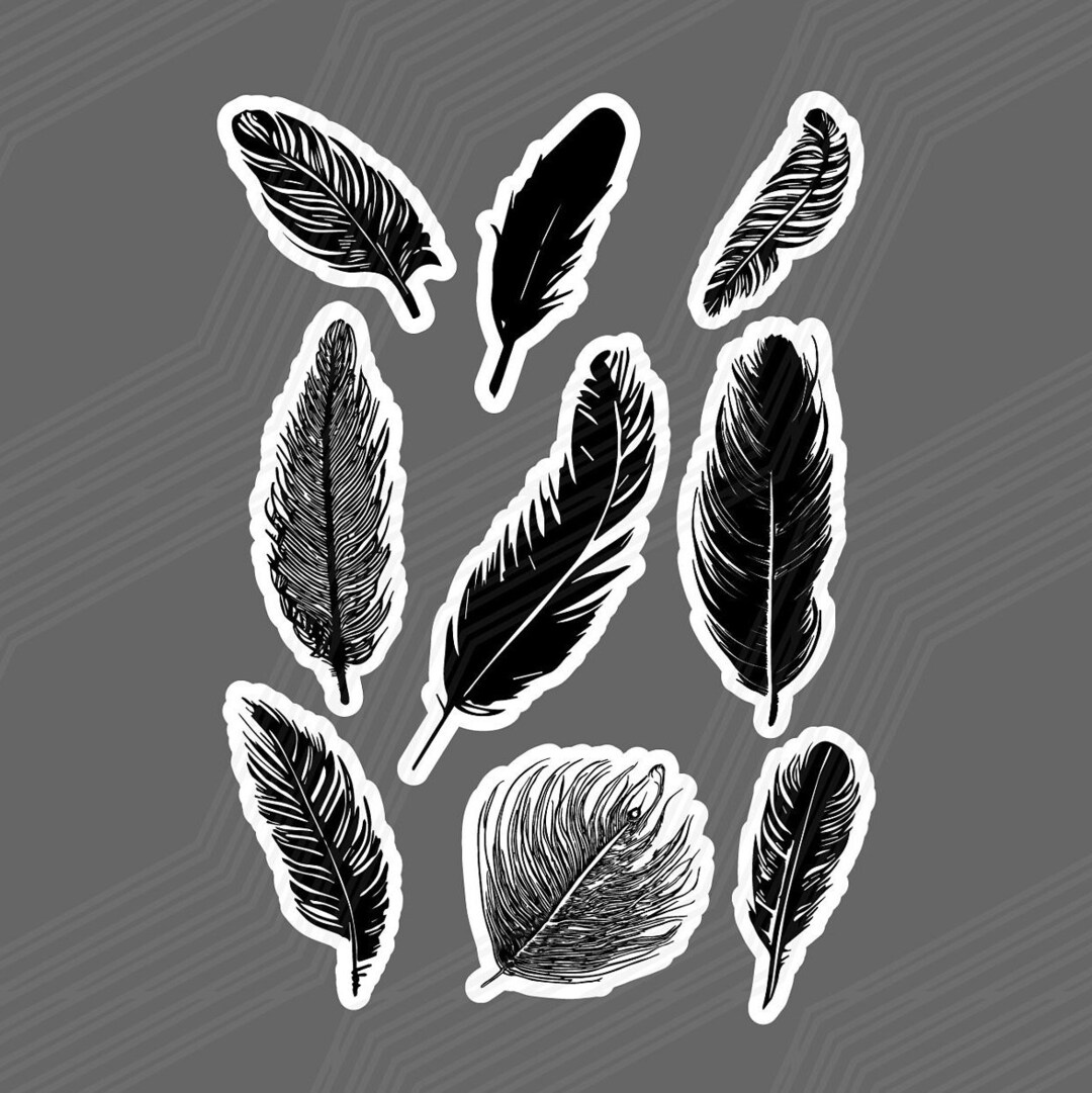 6 Feathers Vector Template Lasercut File .dxf .svg .ai .pdf .png ...