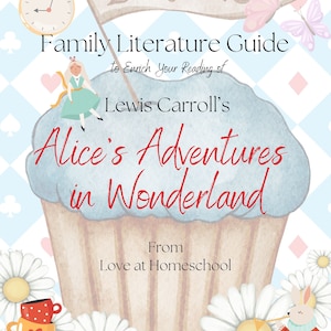 Alice's Adventures in Wonderland BUNDLE Literature Guide Plus Character ...