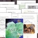 Peter Pan BUNDLE Literature Guide Plus Character PUPPETS, Homeschool ...