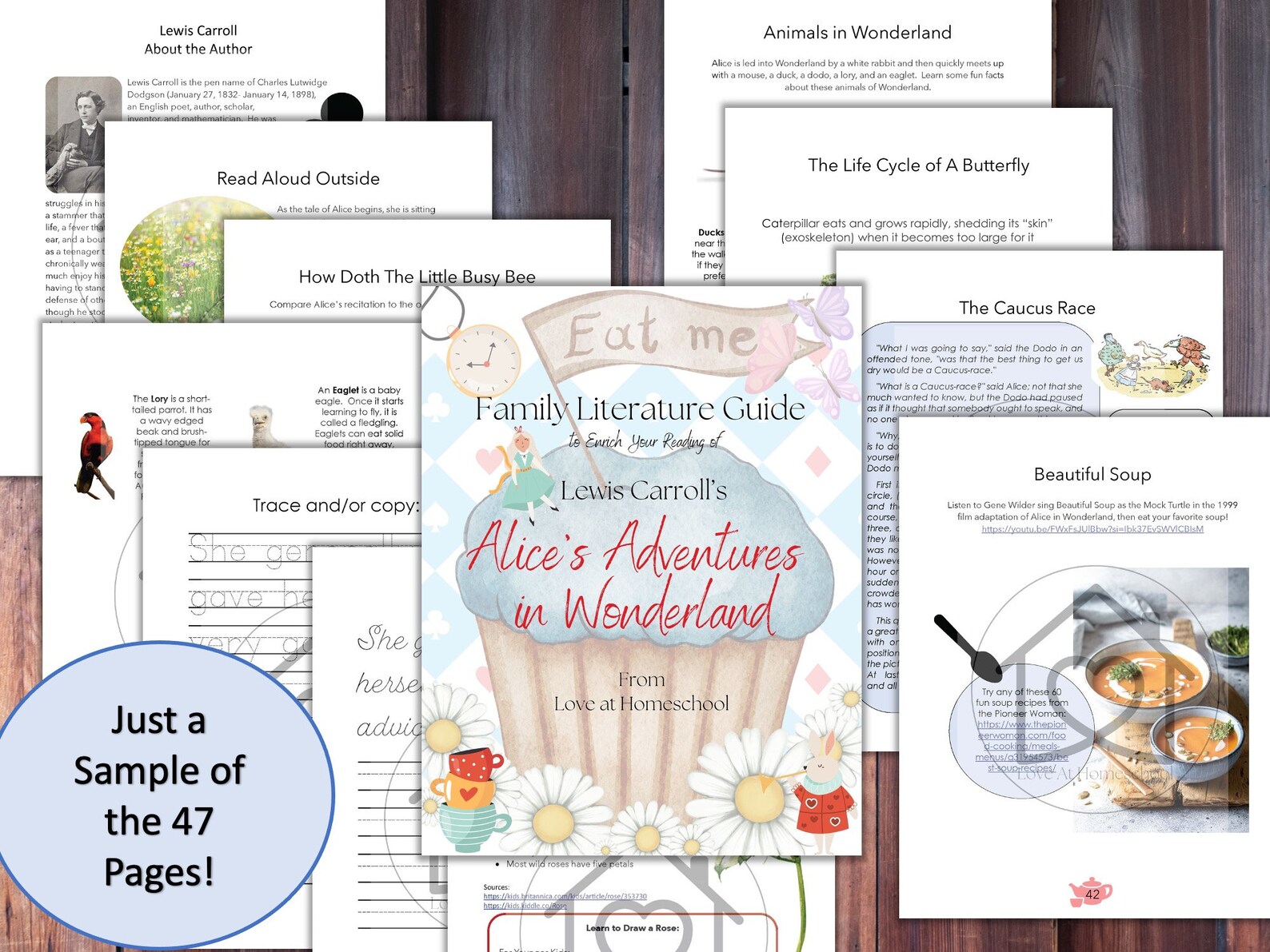 Alice's Adventures in Wonderland BUNDLE Literature Guide Plus Character ...