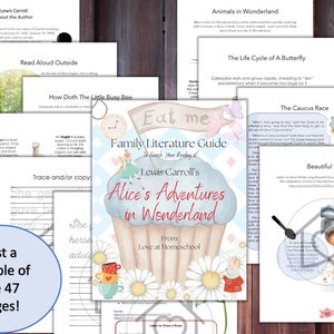 Alice's Adventures in Wonderland BUNDLE Literature Guide Plus Character ...
