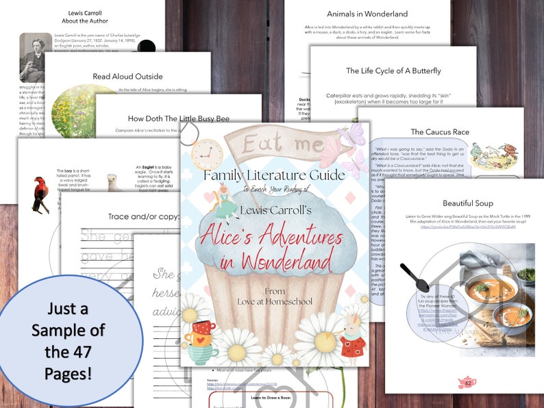 Alice's Adventures in Wonderland BUNDLE Literature Guide Plus Character ...