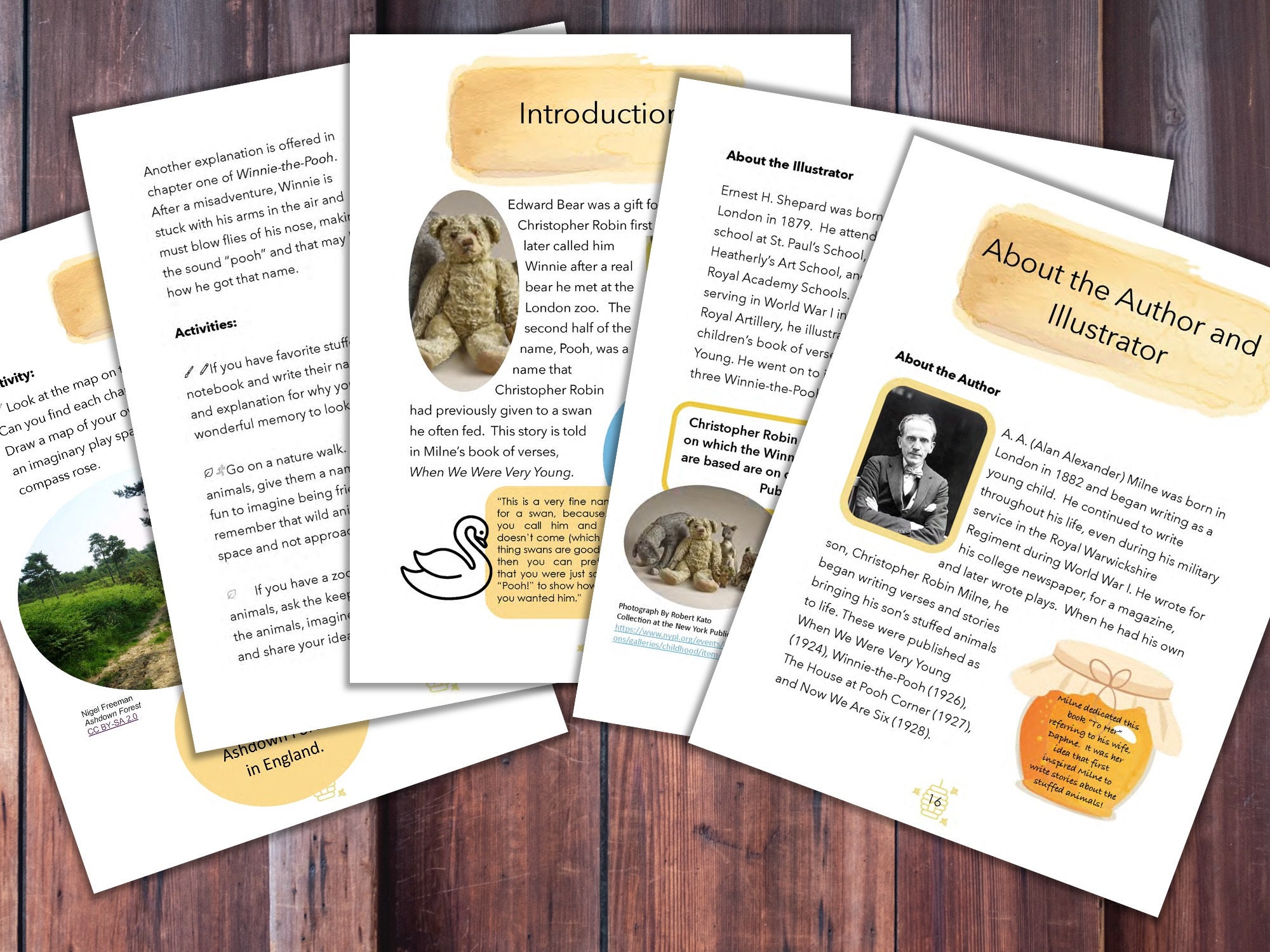 Winnie the Pooh BUNDLE Literature Guide Homeschool Activity - Etsy