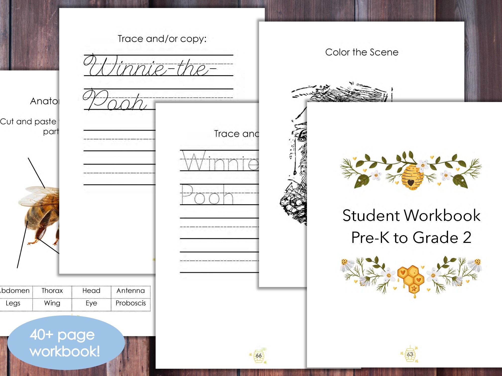 Chapter 1 ONLY Winnie the Pooh Family Literature Guide, Homeschool ...