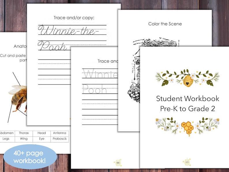 Winnie the Pooh BUNDLE Literature Guide, Homeschool, Activity, Puppets ...