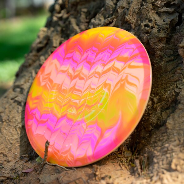 Dyed Disc - Etsy