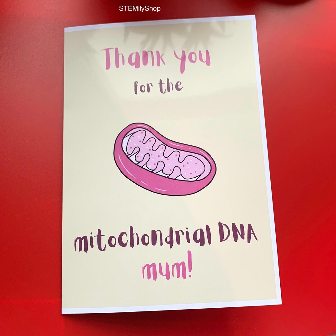 Thanks for the Mitochondrial DNA Anatomical Biology Science Mother's ...