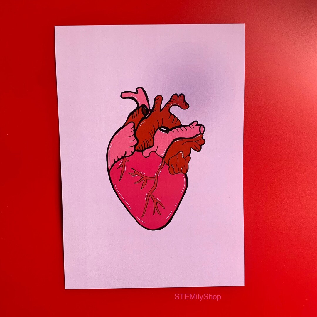 Anatomical Pink and Red Heart Hand Drawn Art Print in A4 or A5 - Etsy