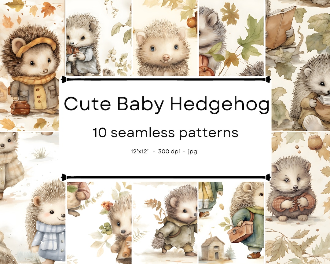 Cute Baby Hedgehog - 10 Seamless Patterns. 12'x12', 300dpi - Seamless ...