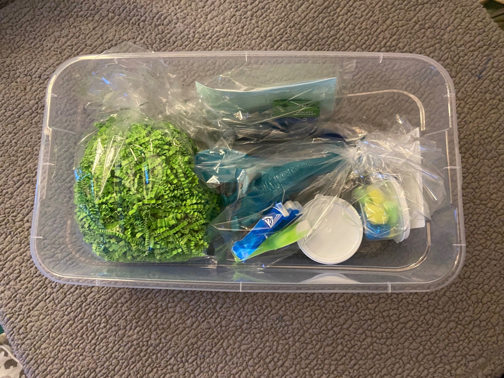 Dino Land Sensory Bin - Etsy