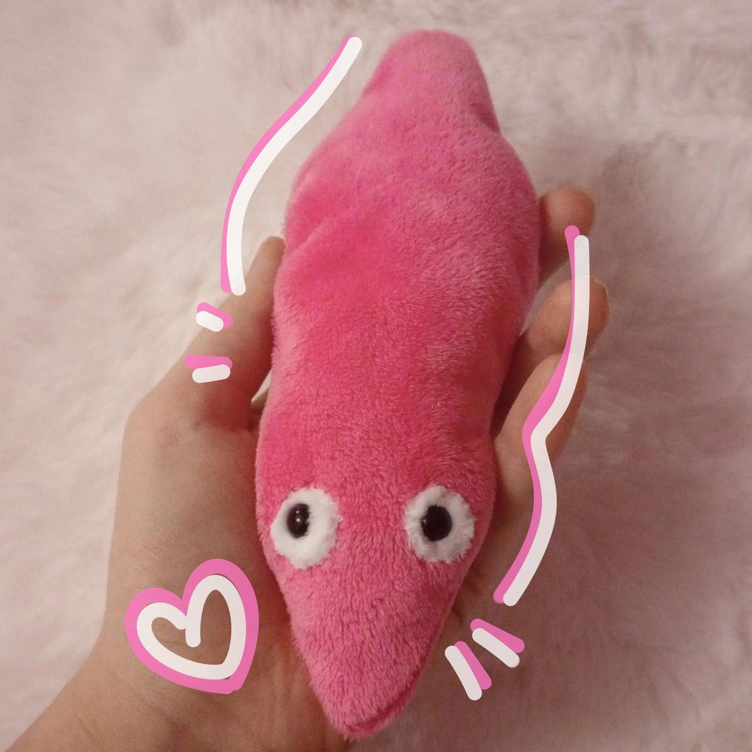 Worm Plush Toy, Glorp the Pocket Worm, Emotional Worm Plush Toy - Etsy