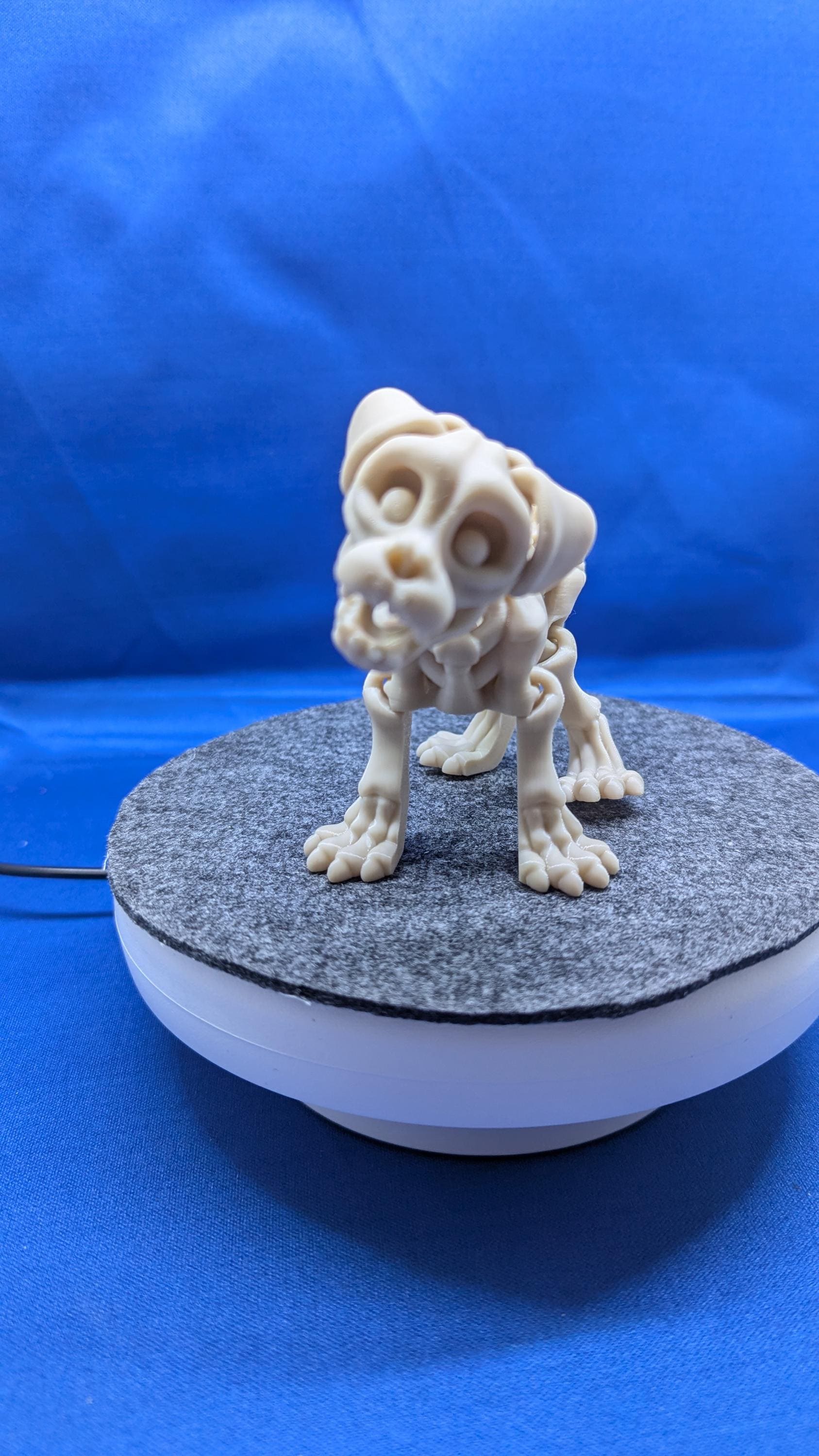 Skeleton Dog and Cat 3d Printed Desk Toys and Fidget Toys - Etsy