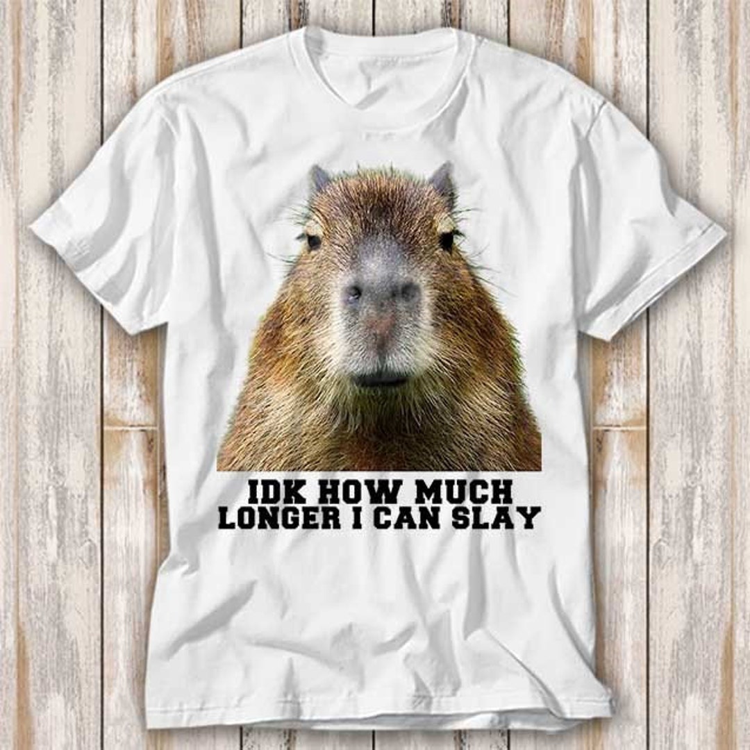 Idk How Much Longer I Can Slay Capybara Sarcastic Dank T Shirt Best ...