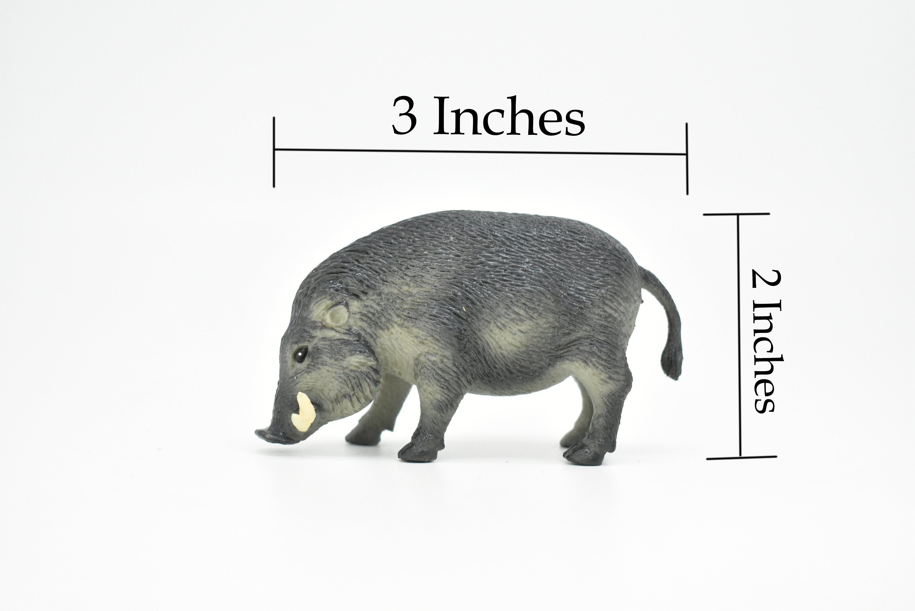 Wild Boar, Javelina Pig, Museum Quality, Realistic Plastic Animal ...