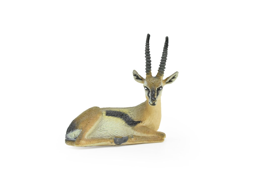 Oryx, Arabian Oryx, Museum Quality, Realistic Plastic Animal Design ...