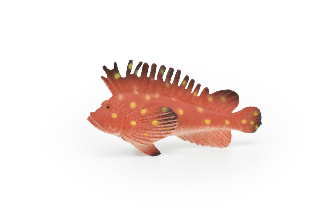 Spotted Kelpfish, Tropical Fish, Ocean, Plastic Fish Design, Realistic ...