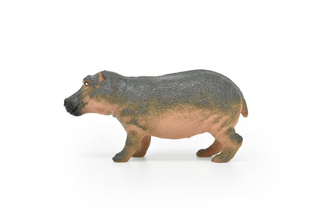 Hippo, Museum Quality, Realistic Plastic Animal Design, Educational ...