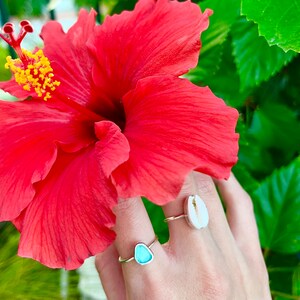 Handmade Cowrie Shell Ring, Puka Shell Ring, Sterling Silver, 14k Gold ...