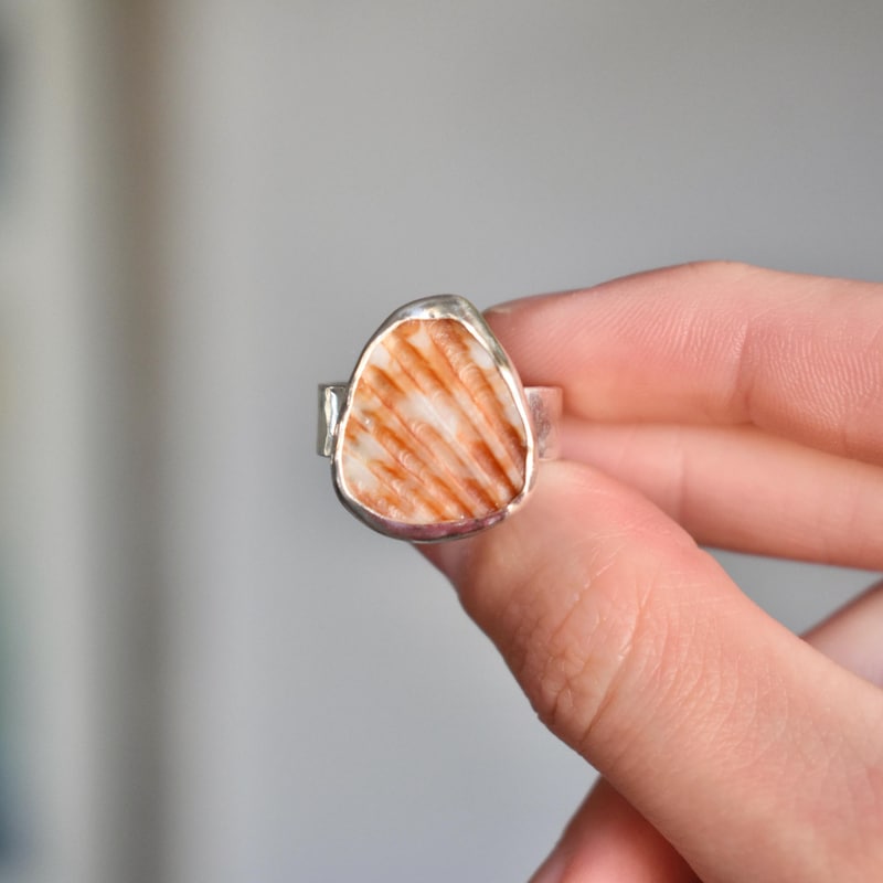 Seashell Ring - Etsy