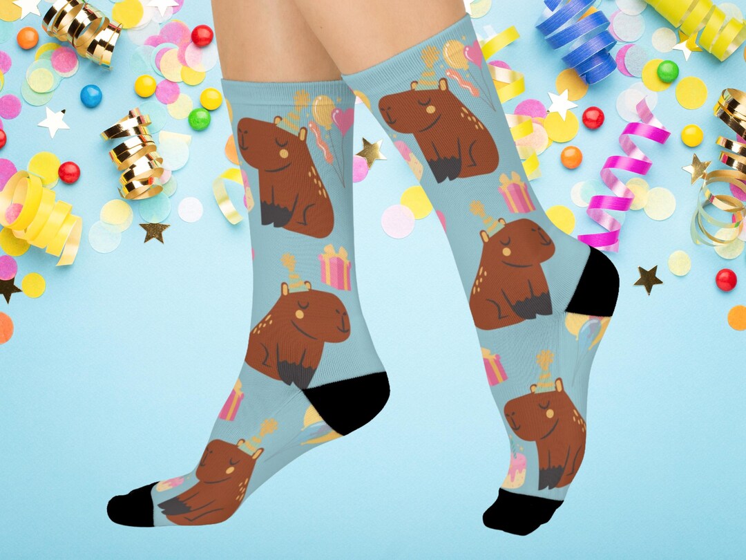 Capybara Birthday Socks, Capybara Lover Gift, Custom Designed Socks ...
